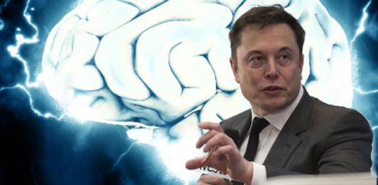 Noticias de elon musk - IntelDig